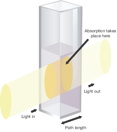 13970 Cuvette Holder Adapter